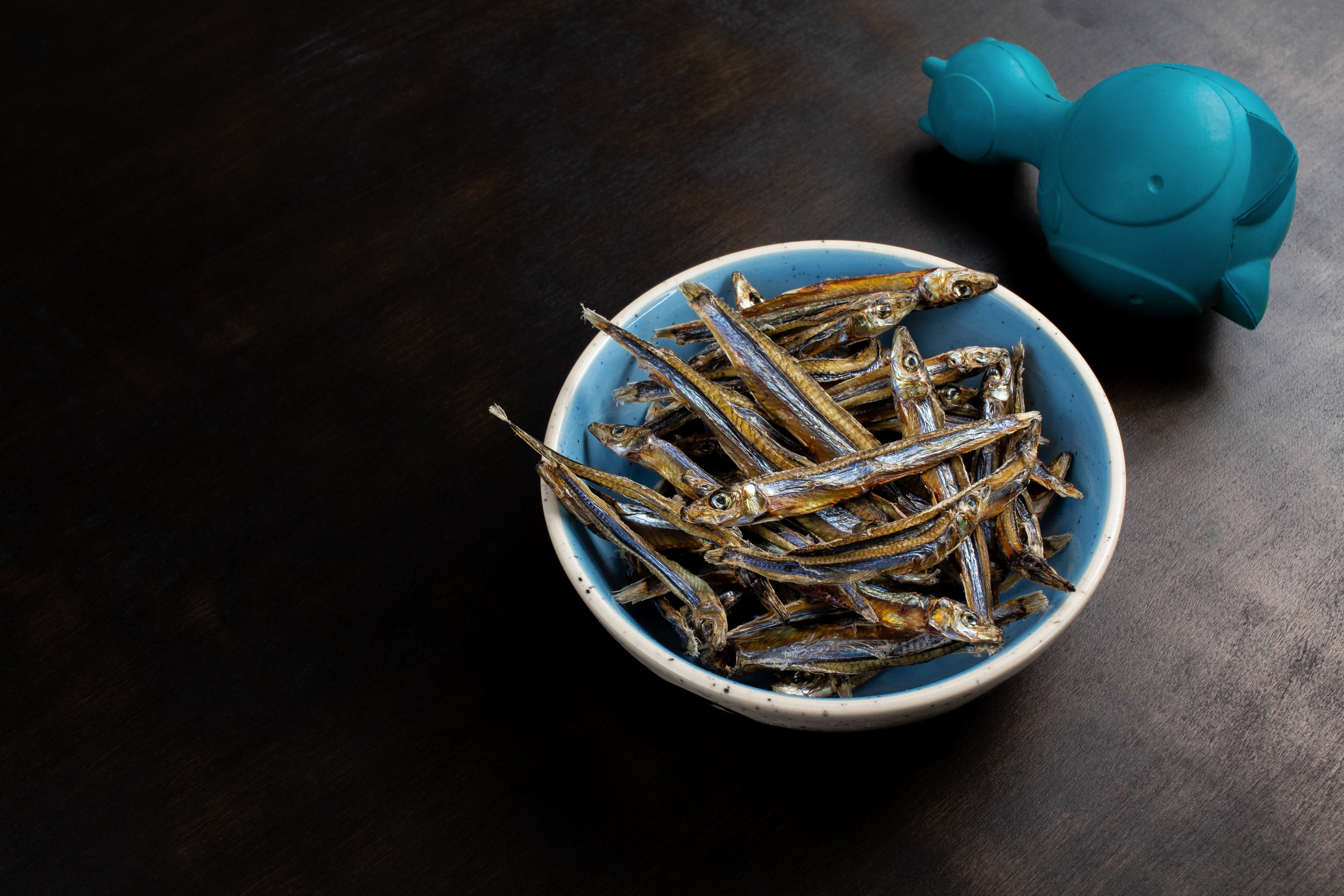 The Benefits of Natural Fish Treats for Dogs | Stately Hound – The ...