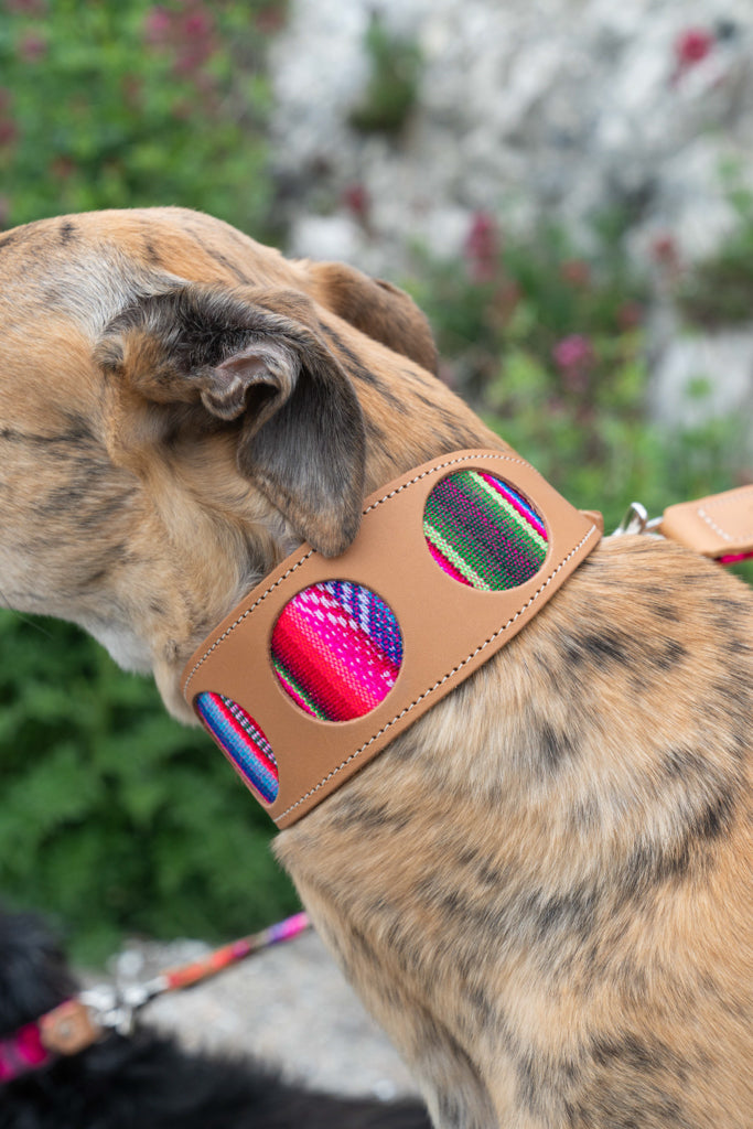 Stylish Dog Accessories Made in the UK | The Stately Hound