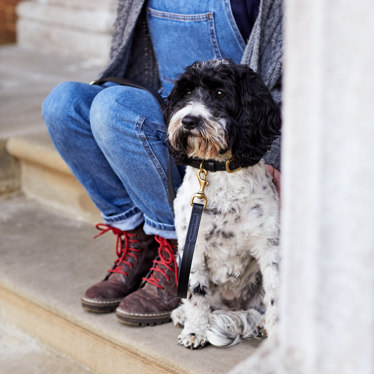 Stylish Dog Accessories Made in the UK | The Stately Hound