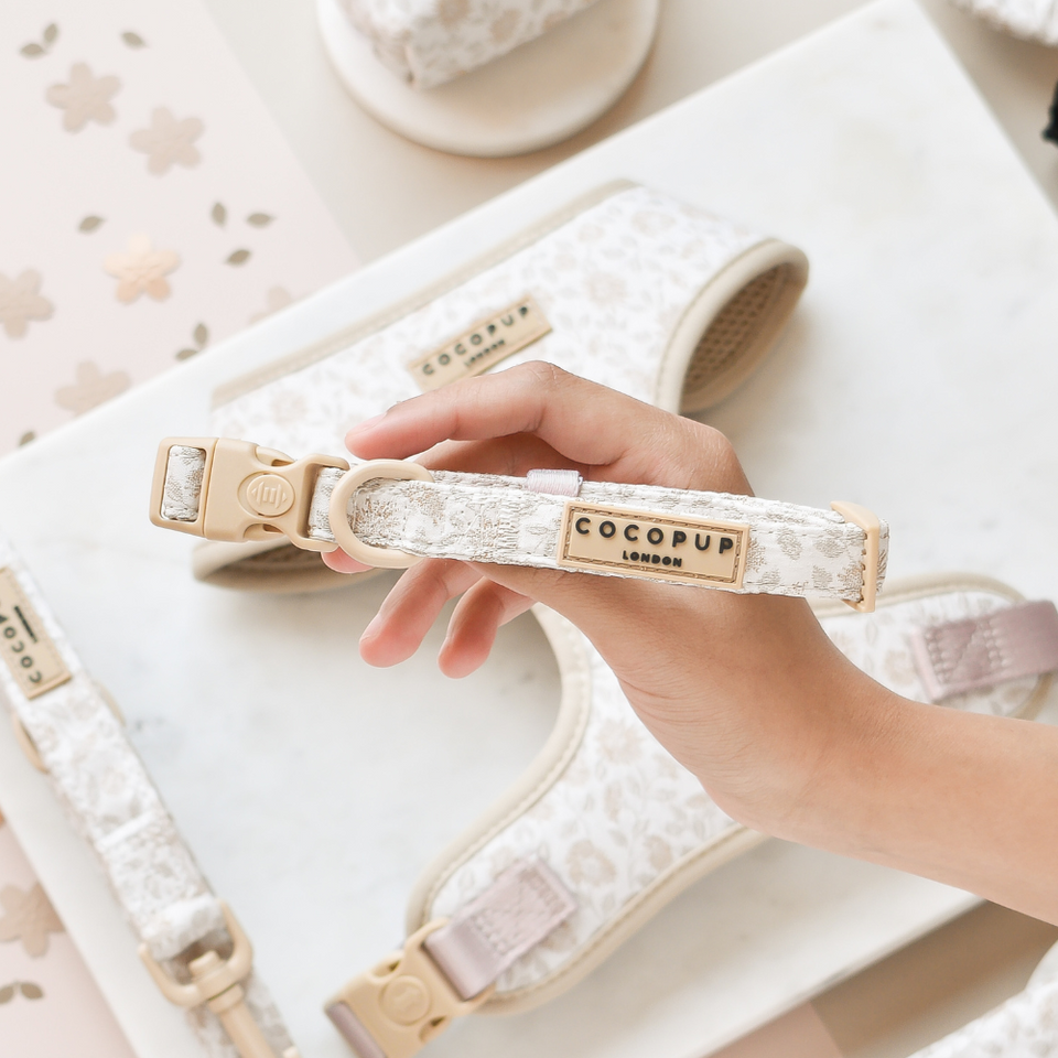 Cocopup Collection - UK Dog Harnesses, Collars, and Leads – The Stately ...